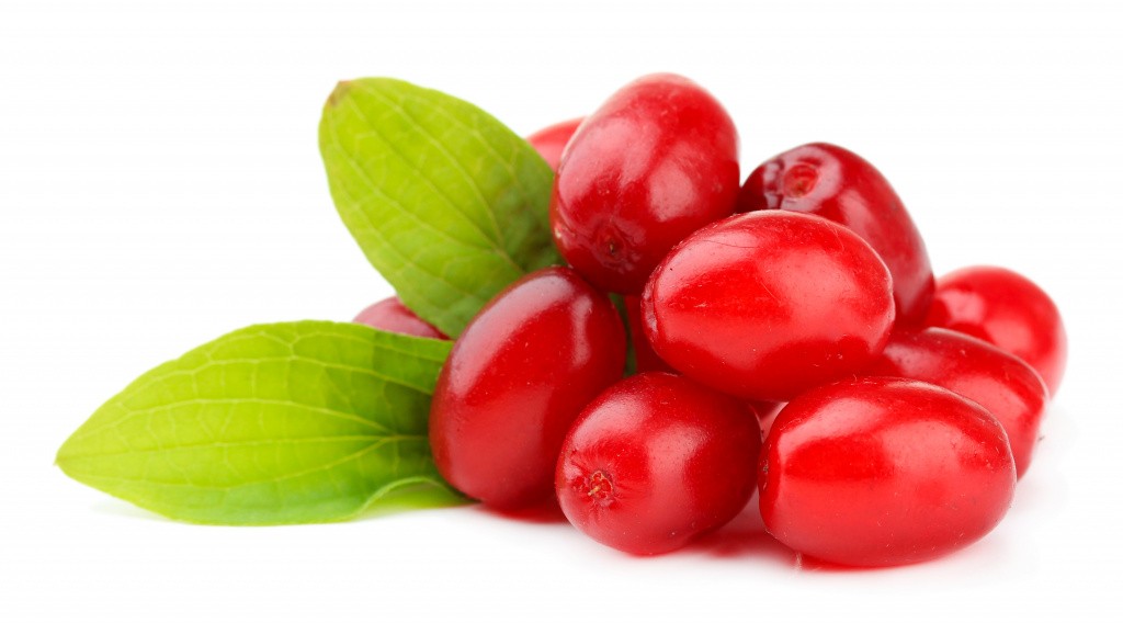 Кизил плоды - купить Крымские травы недорого в интернет-магазине «Травы ...